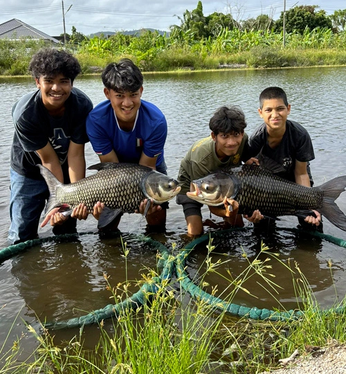 Contact us - Jurafish lake fishing Phuket